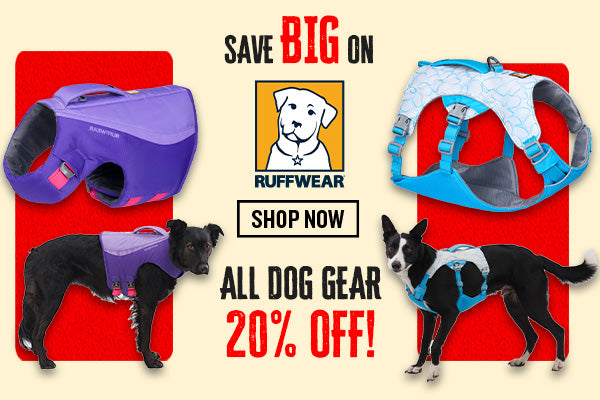 Next Adventure Portland Outdoor Store