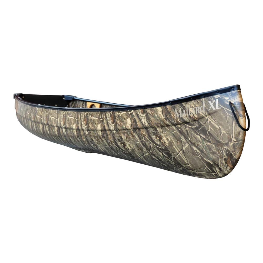 Stay Fishy - Next Adventure